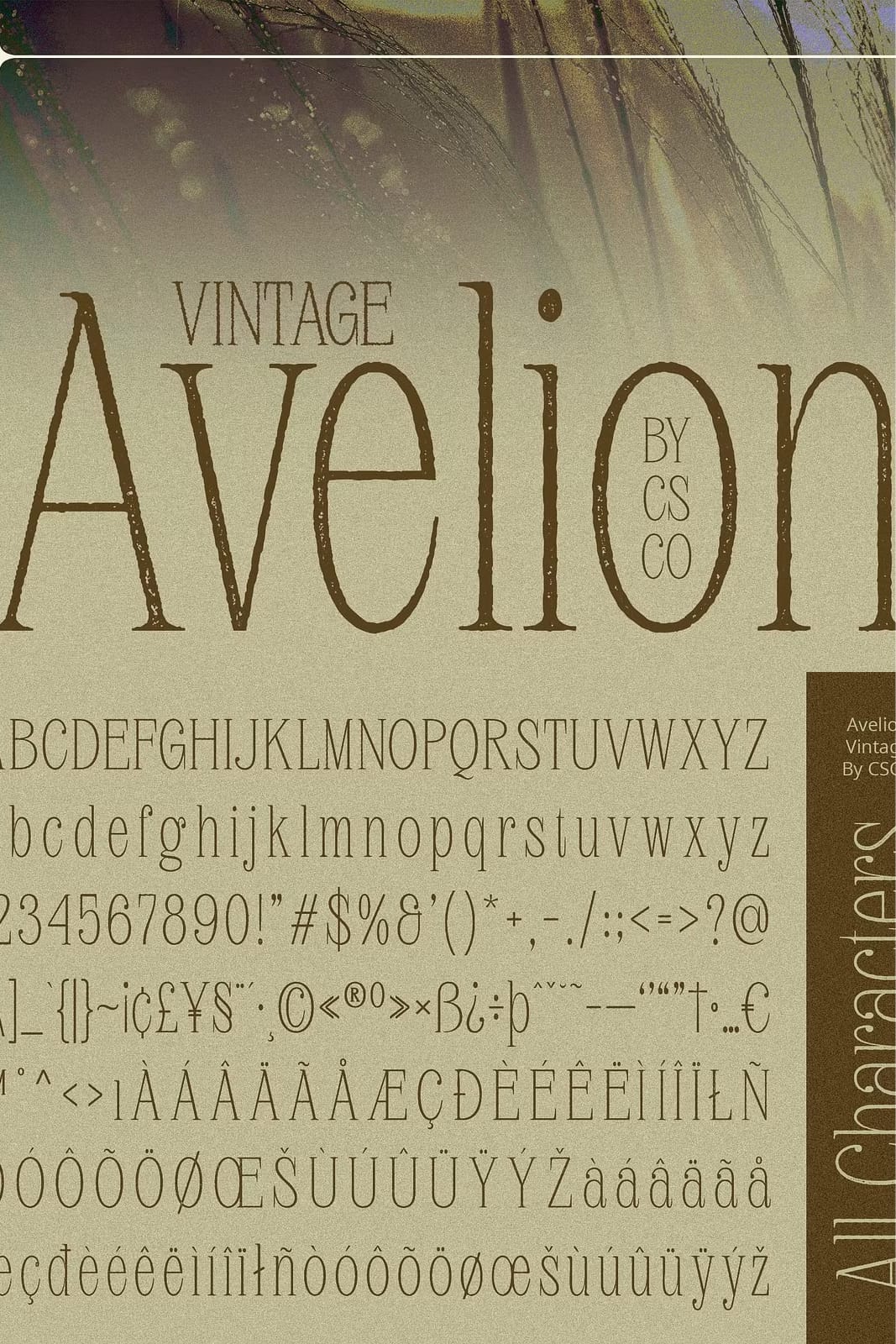 Avelion Vintage - Leasted - Graphics Template Resources