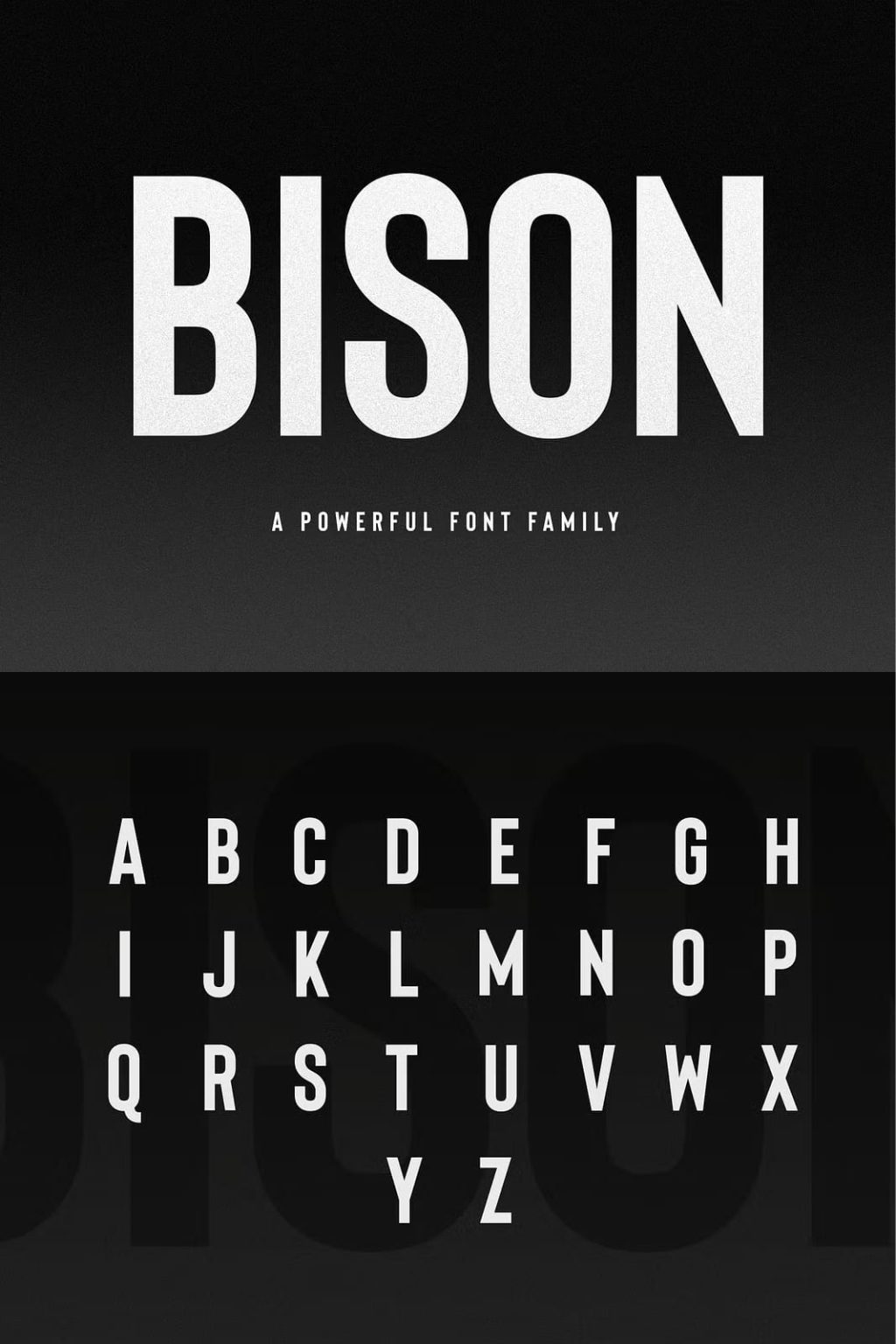 Bison - A Powerful Sans Serif - Leasted - Graphics Template Resources