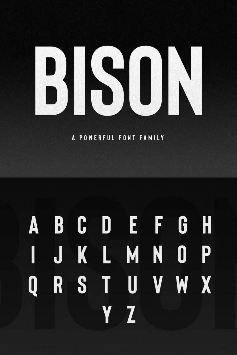 Bison - A Powerful Sans Serif - Leasted - Graphics Template Resources
