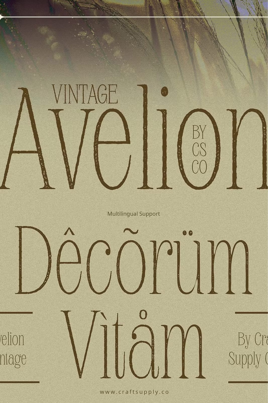 Avelion Vintage - Leasted - Graphics Template Resources