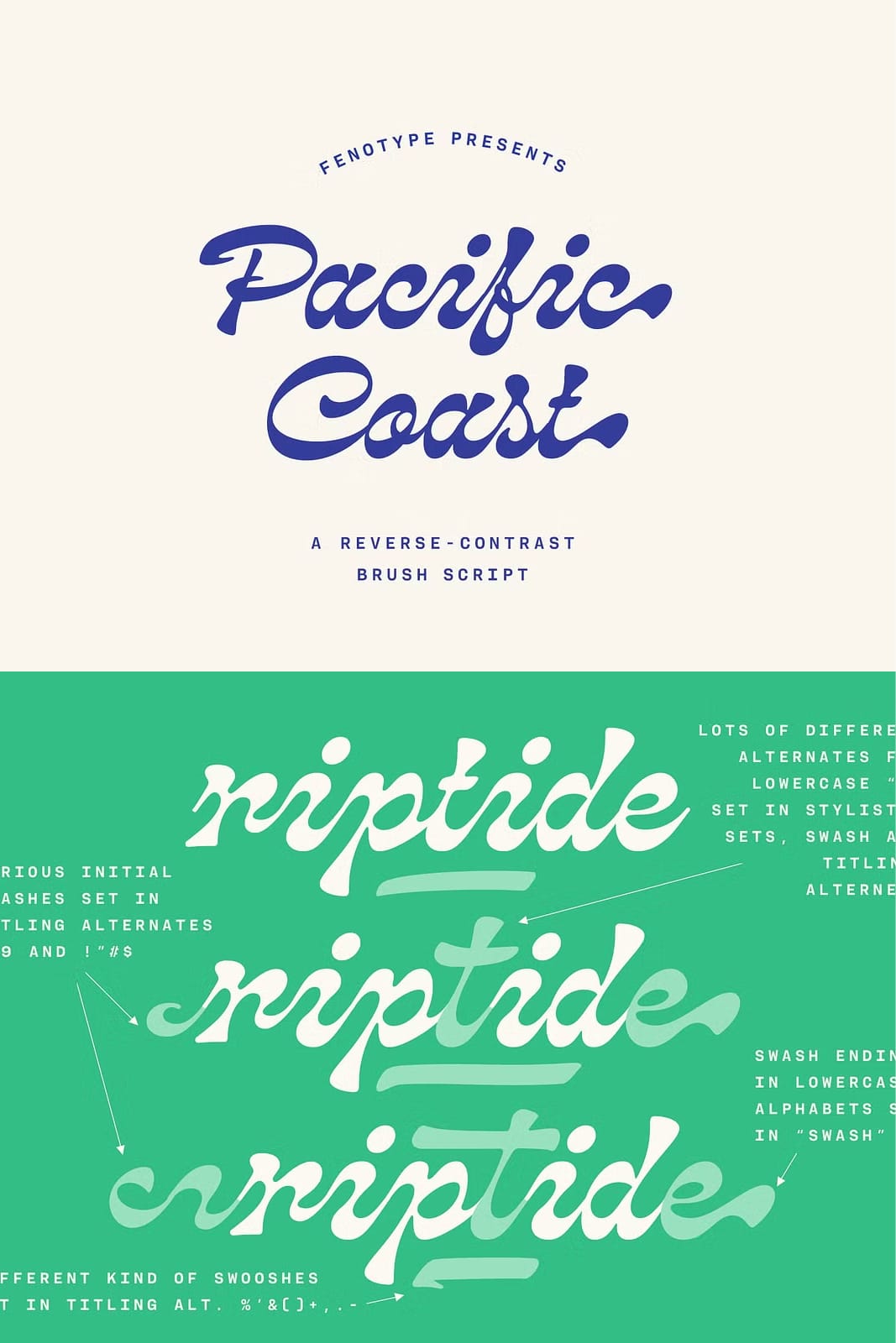 Pacific Coast Retro Script Font - Leasted - Graphics Template Resources