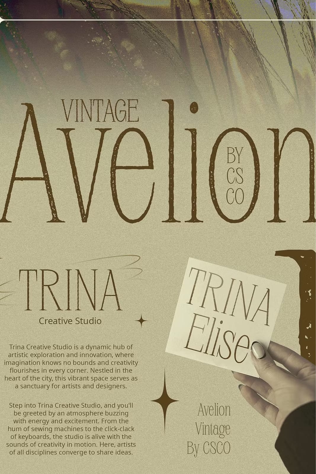 Avelion Vintage - Leasted - Graphics Template Resources