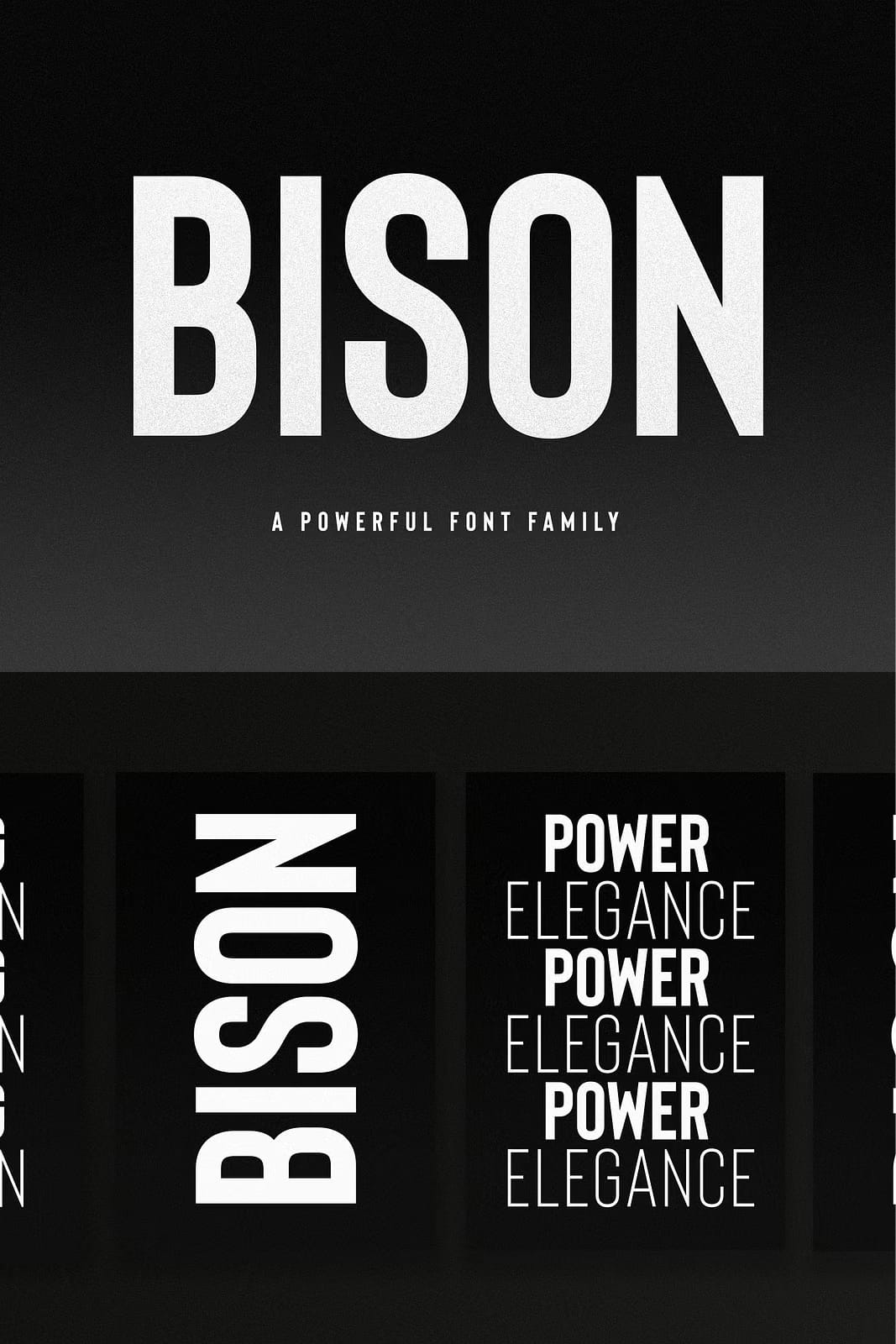 Bison - A Powerful Sans Serif - Leasted - Graphics Template Resources