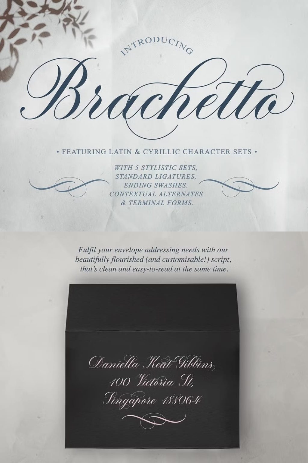 Brachetto Script Font Leasted Graphics Template Resources