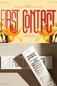 First Contact - 16 Fonts in One Pack - Leasted - Graphics Template ...