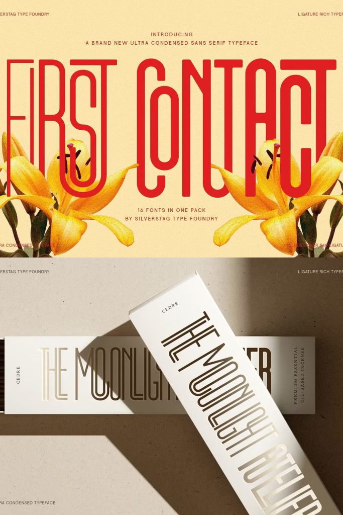 First Contact - 16 Fonts in One Pack - Leasted - Graphics Template ...
