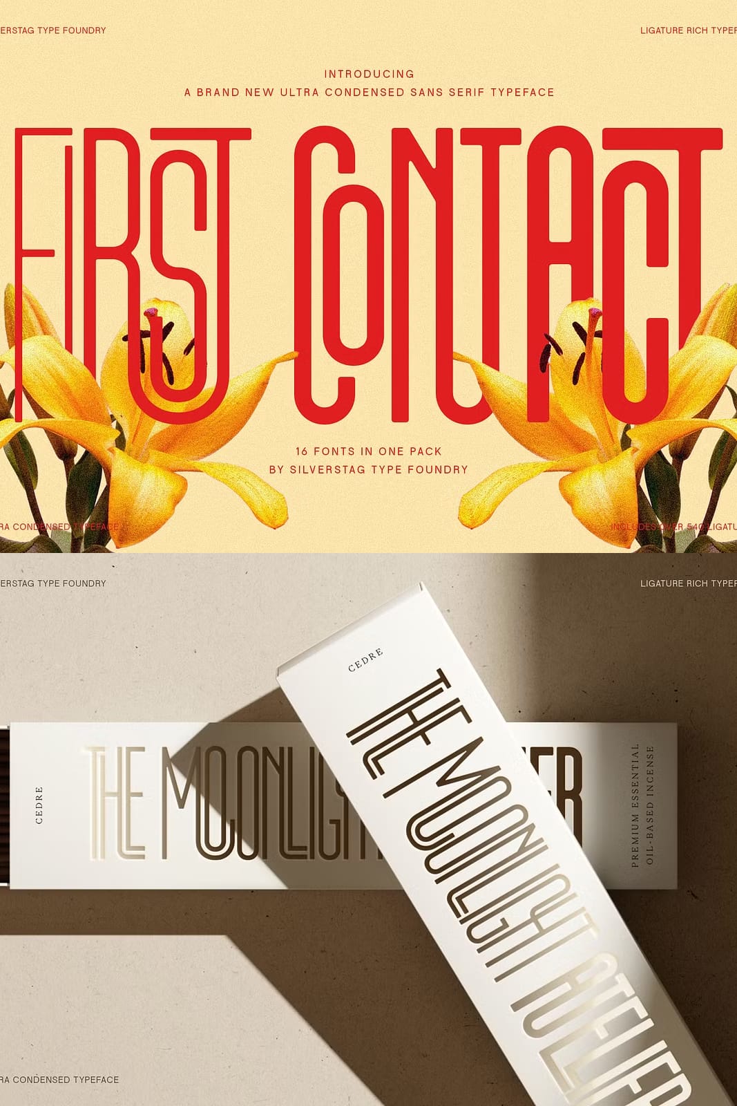 First Contact - 16 Fonts in One Pack - Leasted - Graphics Template ...