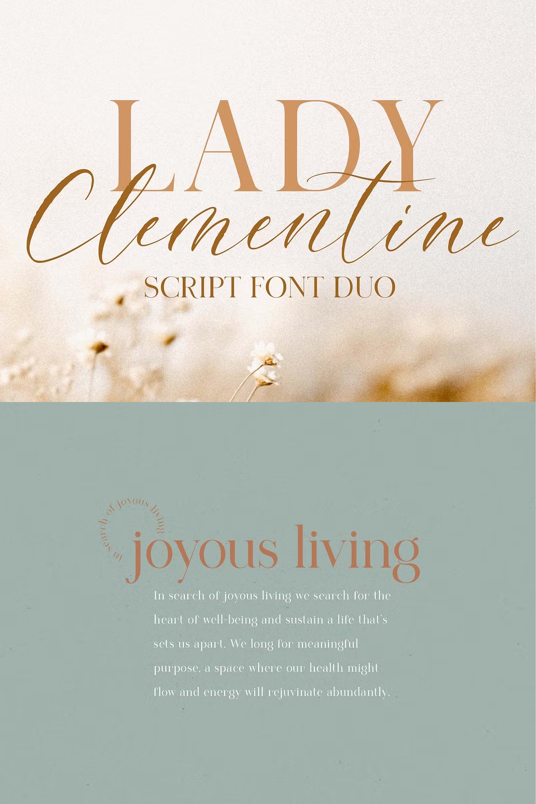 Lady Clementine script font & serif - Leasted - Graphics Template Resources