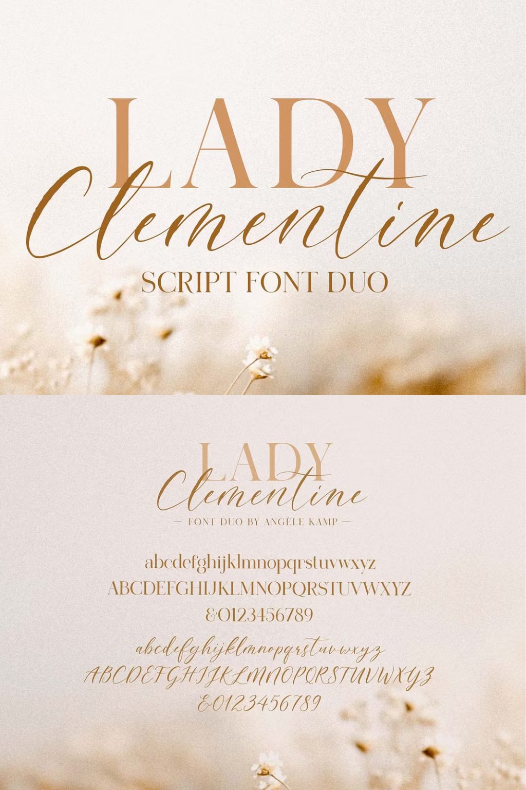 Lady Clementine script font & serif - Leasted - Graphics Template Resources