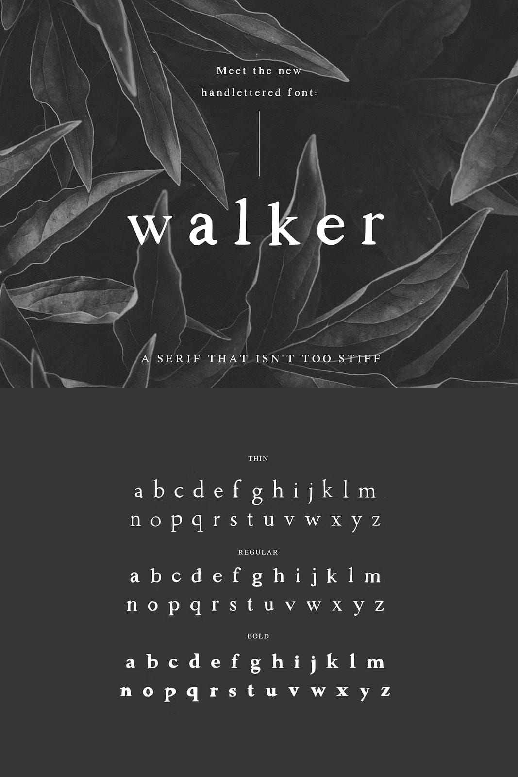 Walker: a Handlettered Serif - Leasted - Graphics Template Resources