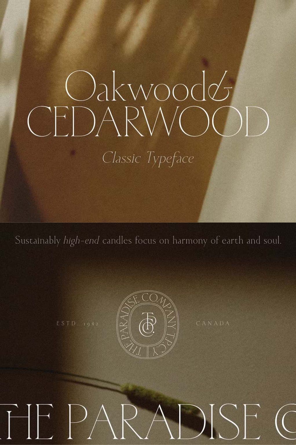 Cedarwood - Classy Serif - Leasted - Graphics Template Resources