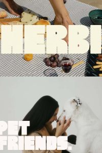 HERBI | A Chunky Sans Serif Font - Leasted - Graphics Template Resources
