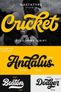 Cricket Script - Leasted - Graphics Template Resources