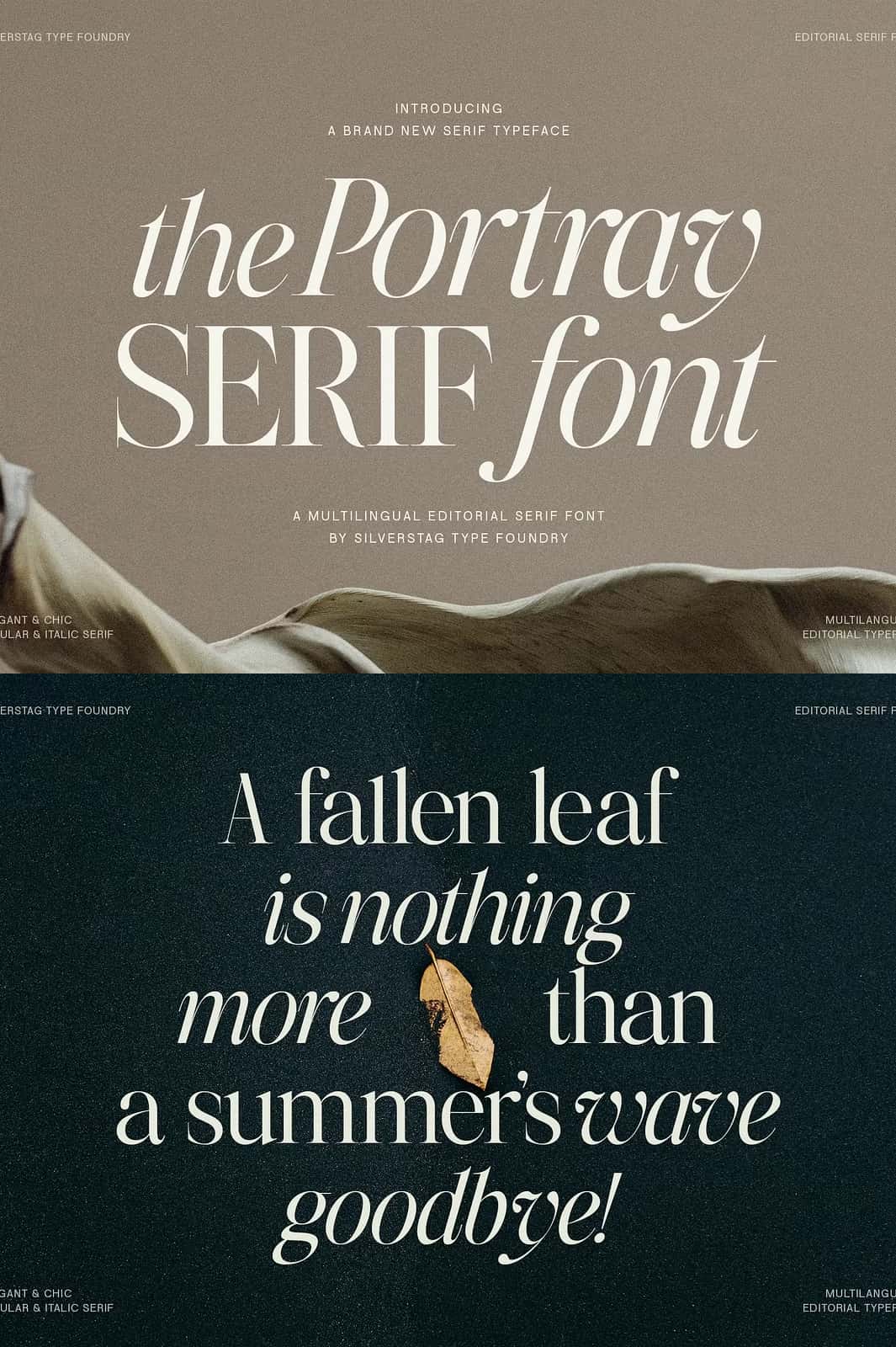 The Portray - Elegant Serif Typeface - Leasted - Graphics Template ...