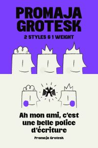 Promaja - Grotesk Type - Leasted - Graphics Template Resources