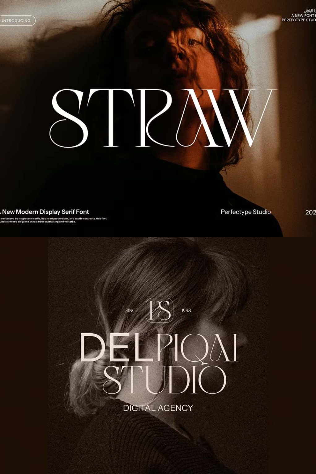 Straw Modern Serif Font - Leasted - Graphics Template Resources