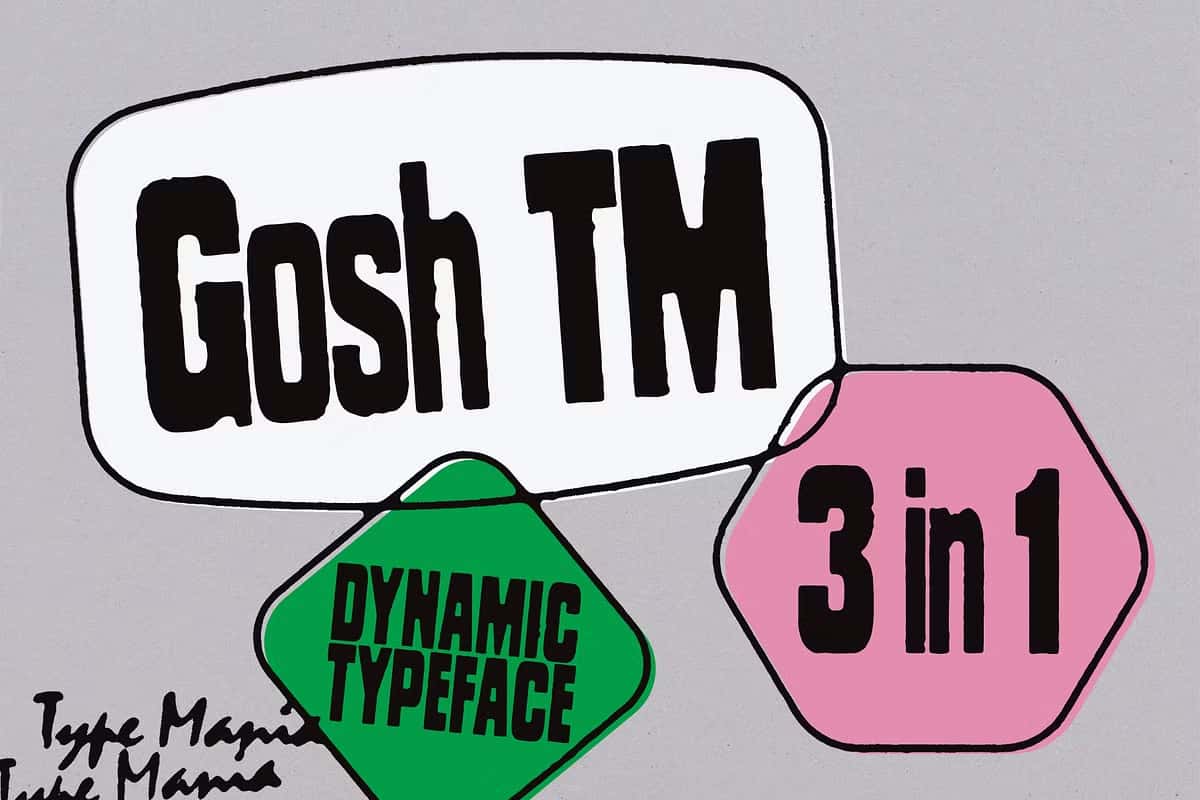 Gosh TM – Soulful Dynamic Typeface - Leasted - Graphics Template Resources