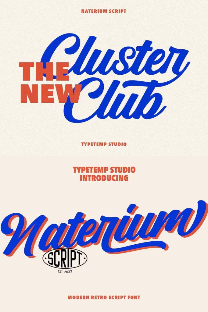 Naterium Retro-Modern Script Font - Leasted - Graphics Template Resources