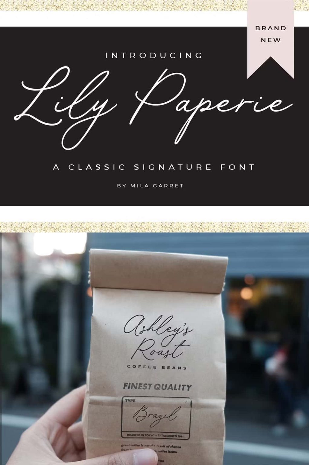 Lily Paperie Signature Logo Script - Leasted - Graphics Template Resources