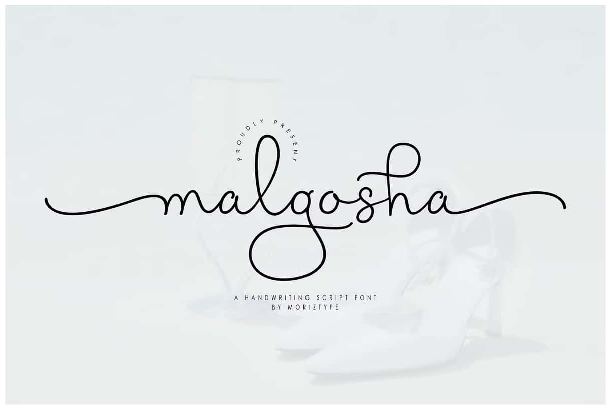 Malgosha Script - Leasted - Graphics Template Resources