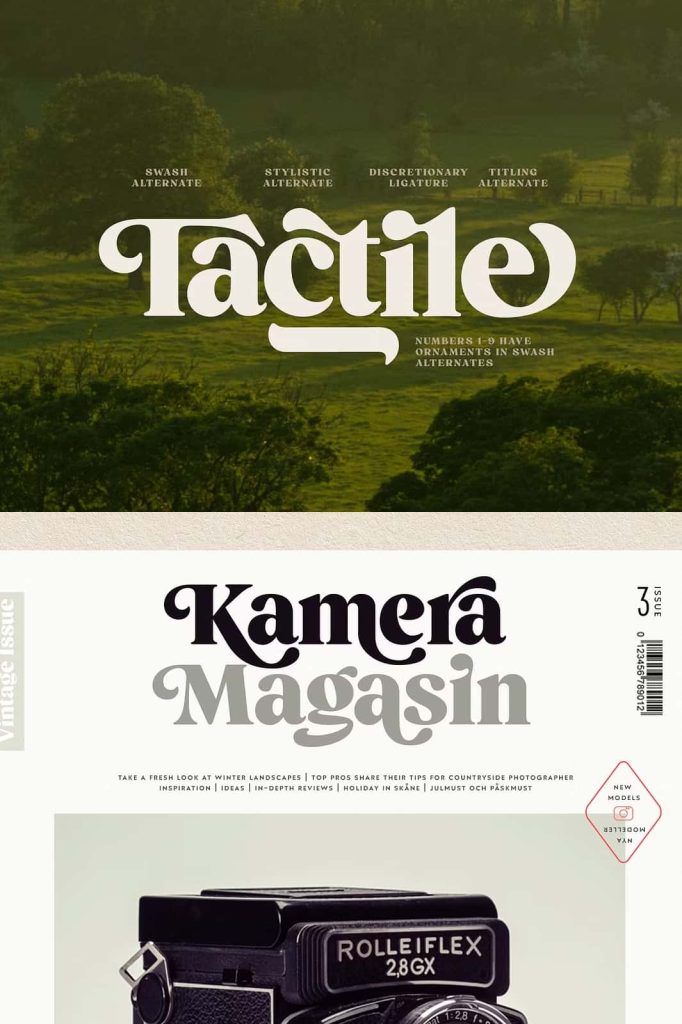 Briston Serif - Leasted - Graphics Template Resources
