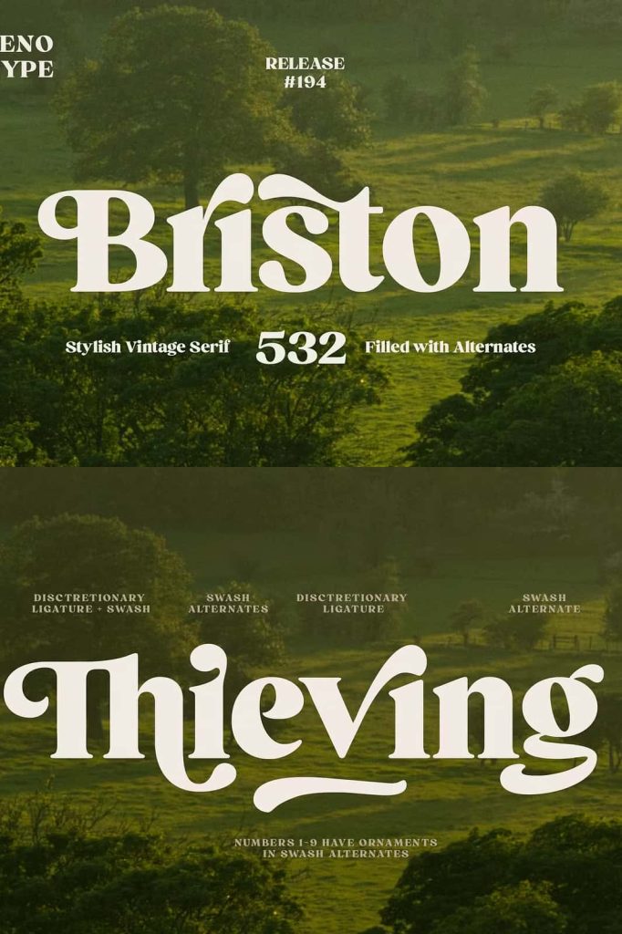 Briston Serif - Leasted - Graphics Template Resources